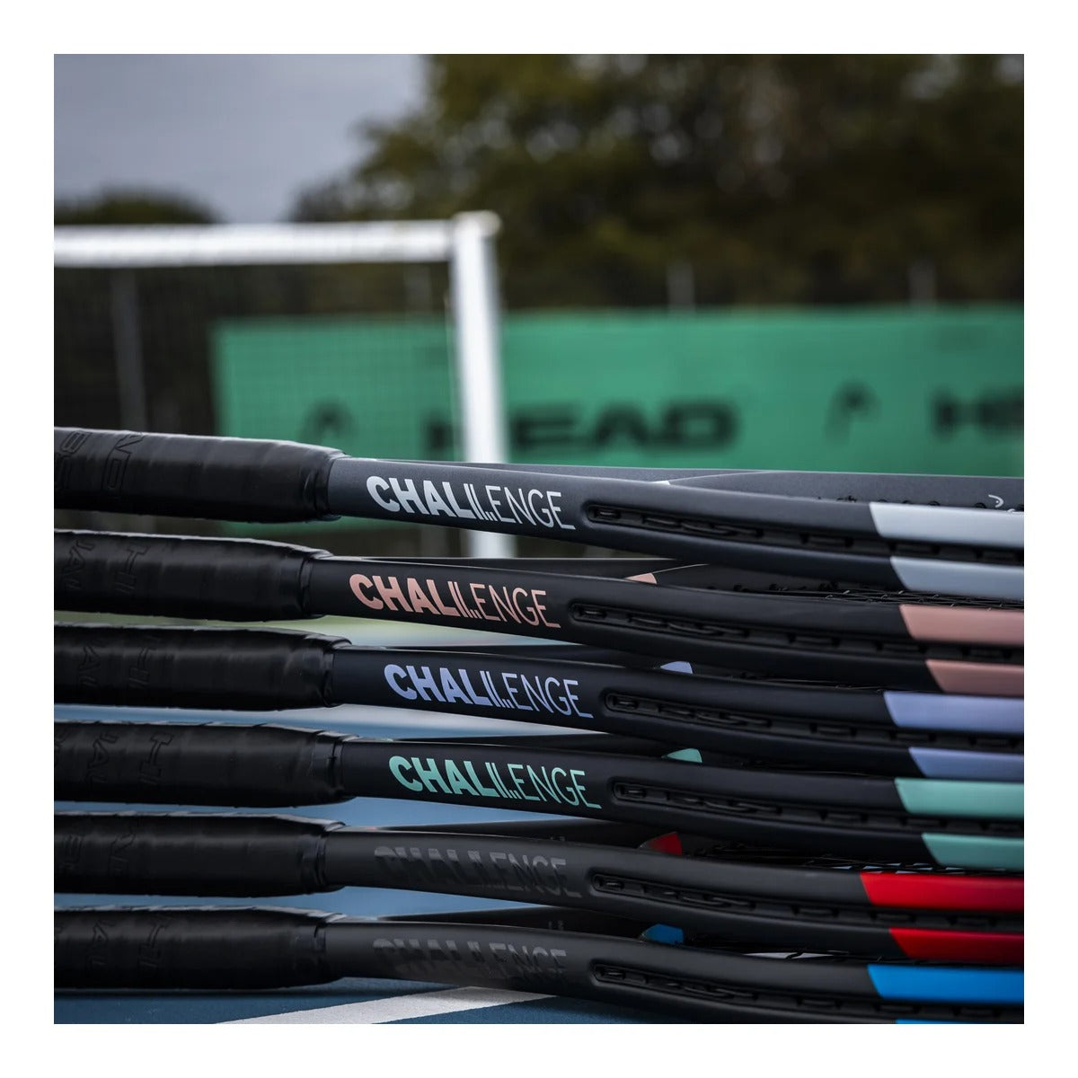 Head Challenge Team Tennis Racket – Sachdev Sports Co. Pvt Ltd